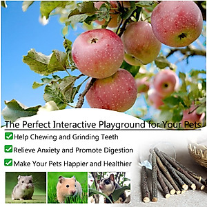 RoseFlower Hamster Playground Wooden Small Animal Activity Toys Set with Wood Ramp Bridge and Climbing Ladder - Platform Cage Toys for Syrian Hamster Mouse Gerbil Chinchilla Rat #2