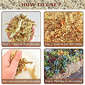 ZeeDix 3OZ Premium Sphagnum Moss for Plants, 4QT Natural Long Fibered Orchid Moss Sphagnum Peat Moss Bulk for Carnivorous,Orchid,Sarracenia,Succulent,Venus Fly Traps and Reptiles