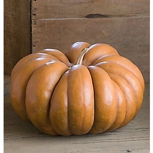 David's Garden Seeds Pumpkin Musquee de Provence FBA-2621 (Orange) 25 Non-GMO, Heirloom Seeds