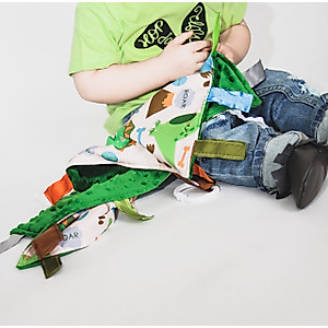 Baby Sensory, Security & Teething Closed Ribbon Tag Lovey Blanket with Minky Dot Fabric: 14X18 (Dinosaurs)