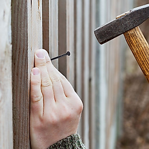 Mr. Pen- Nail Assortment Kit, 600 Pcs, 4 Sizes, Black, Small Nails, Nails for Hanging Pictures, Finishing Nails, Wall Nails for Hanging, Pin Nails, Hardware Nails, Assorted Nails, Galvanized Nails.