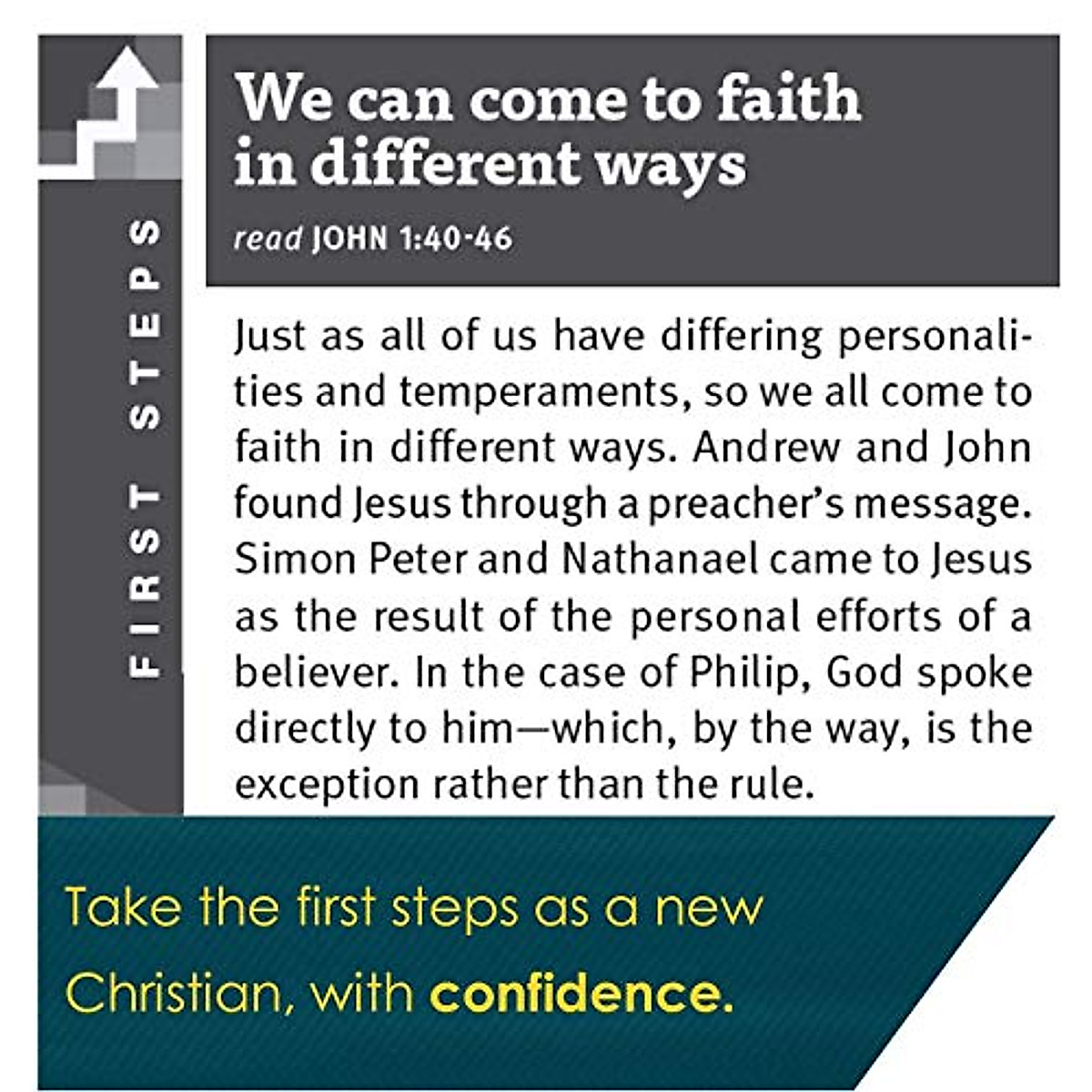 New Believer's Bible NLT (Softcover): First Steps for New Christians