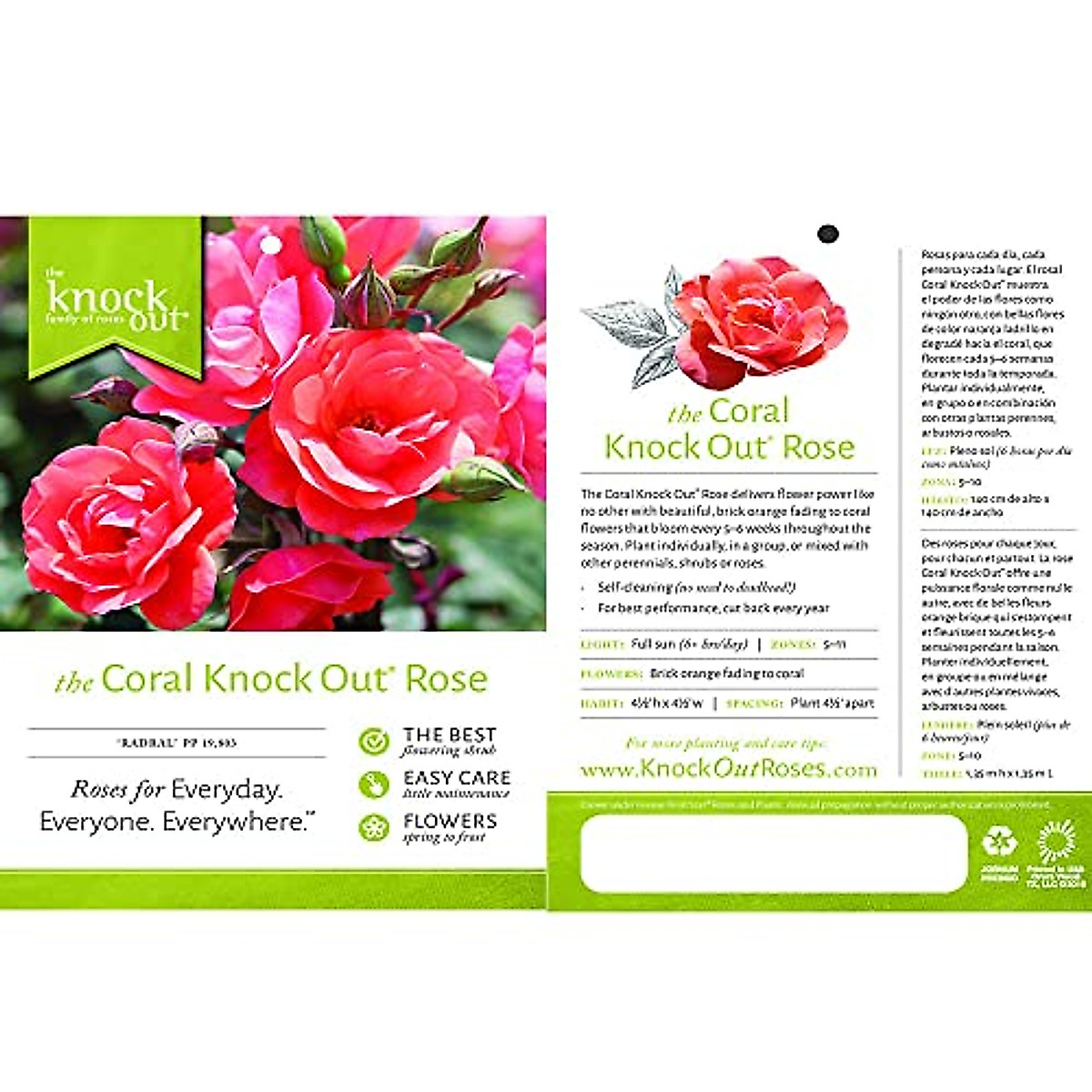 1 Gallon, Knock Out Rose Coral, with Gentle Green Foliage and Bold Coral Pink Blooms