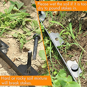 Gardzen 1.5" x 20' Landscape Edging Kit, Garden Edging Coil Comes with 24 Pcs Spikes, No Dig Lawn Border Design