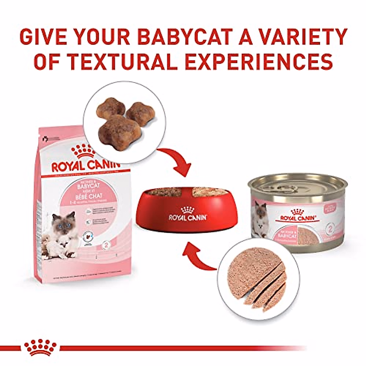 Royal Canin Feline Health Nutrition Mother & Babycat Dry Cat Food for Newborn Kittens and Pregnant or Nursing Cats, 6 lb Bag