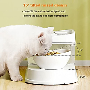 Marchul Cat Water Fountain and Food Bowl - 2L/67oz Pet Water Dispenser with Indicated Light, Smart Pump and 4 Replacement Filters for Cats and Small Dogs