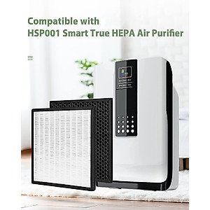 Future Way 2 Set HSP001 Filter Replacement Compatible with HSP001 Smart True HEPA Air Purifier, H13 True HEPA and Activated Carbon Filter