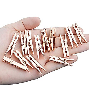 Jdesun 50 Pieces Photo Clips,Mini Plastic Picture Paper Clip Clothespins Peg for Office,Home,Arts(Rose Gold)