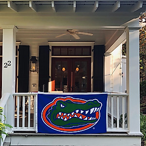 Desert Cactus University of Florida UF Flag - 3 x 5 Feet Gators Banner, Indoor/Outdoor Durable Fabric, 100% Polyester Design (Style 4)