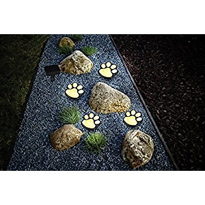 Solar Paw Print Lights (Set of 4), Warm White(3000-4500k) (Warm White)