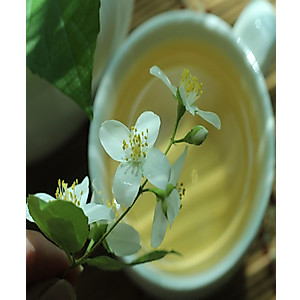 Green Tea Jasmine Loose Leaf Tea 4 OZ | Eco-Conscious Biodegradable Kraft Bag | by Leyla's Tea