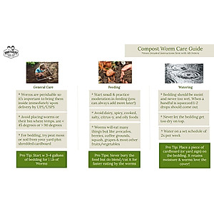 Brothers Worm Farm 1/2 Lb European Nightcrawlers Live Worms for Fishing & Composting (~150 Count). Larger Than Red Wigglers and Great Worms for Fishing, Composting, & Gardens