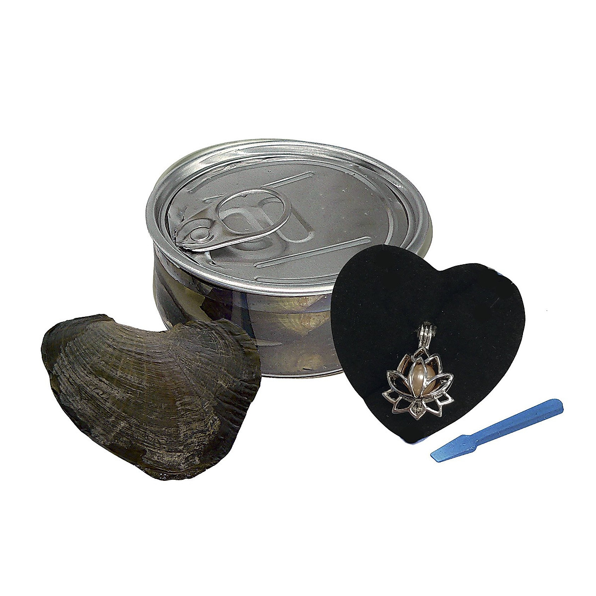 My Inspirations Precious Pearl Pearl in Oyster Kit, Mysterious Pearl Gift Set, DIY Necklace Making Kit, Elegant Pendant with 20" Chain, Great Gift for Any Occasion(Lotus)