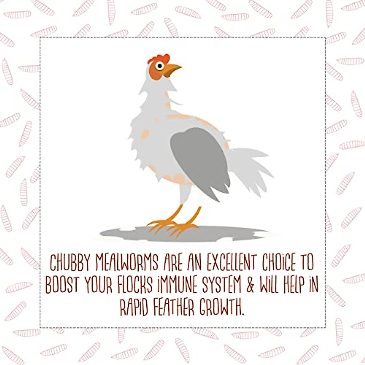 Chubby Mealworms Bulk Dried Mealworms for Wild Birds, Chickens etc. (2Lbs)