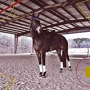 Kavallerie Dressage Horses Boots: Fleece-Lined Faux Leather Woof Brushing Boots for Training, Jumping, Riding, Eventing - Quick Wear for Breathable, Lightweight & Impact-Absorbing Wrap, XL