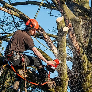 Mini ChainSaw Cordless with 2 Battery, 8&6 Inch Mini Handheld Chain Saw with Replacement Chain, Small Battery Powered Electric Portable Chain Saw for Branch Wood Cutting and Garden Tree Trimming