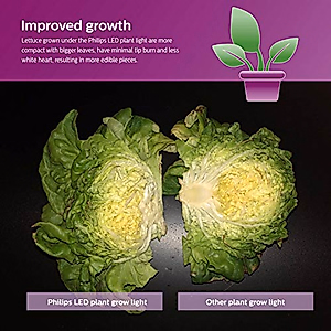 Philips LED Plant Grow Light Bulb PAR38, Non-Dimmable, EyeComfort Technology, 1325 Lumen, Daylight (5000K), 15.5W=120W, E26 Base, Title 20 Certified, (576462) 4-Pack