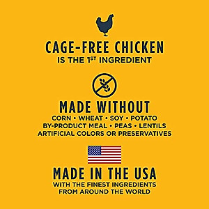 Instinct Raw Boost Whole Grain Real Chicken & Brown Rice Recipe Natural Dry Dog Food, 4.5 lb. Bag