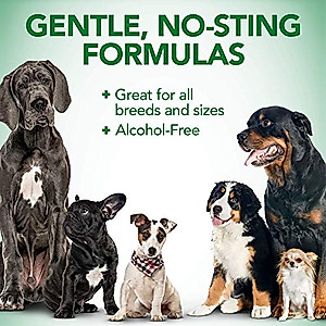 Vet's Best Allergy Itch Relief Spray for Dogs | Soothes Dog Dry Skin | Relieves The Urge to Itch, Lick, and Scratch | 8 Ounces