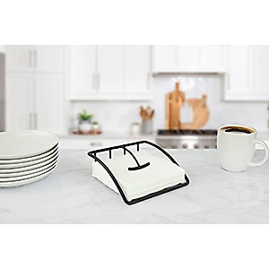 Spectrum Diversified Euro Weighted Napkin Holder for Storage and Dispensing for Dining Room Table and Kitchen Counter Organization