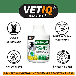VetIQ Green-Um Dog Urine Neutraliser, 100 Tablets, Urine Neutraliser Lawn Burn Solution, Puppy Essentials Controls Nitrogen in Urine to Prevent Lawn Yellow Spots, Wee Neutraliser for All Breeds/Sizes