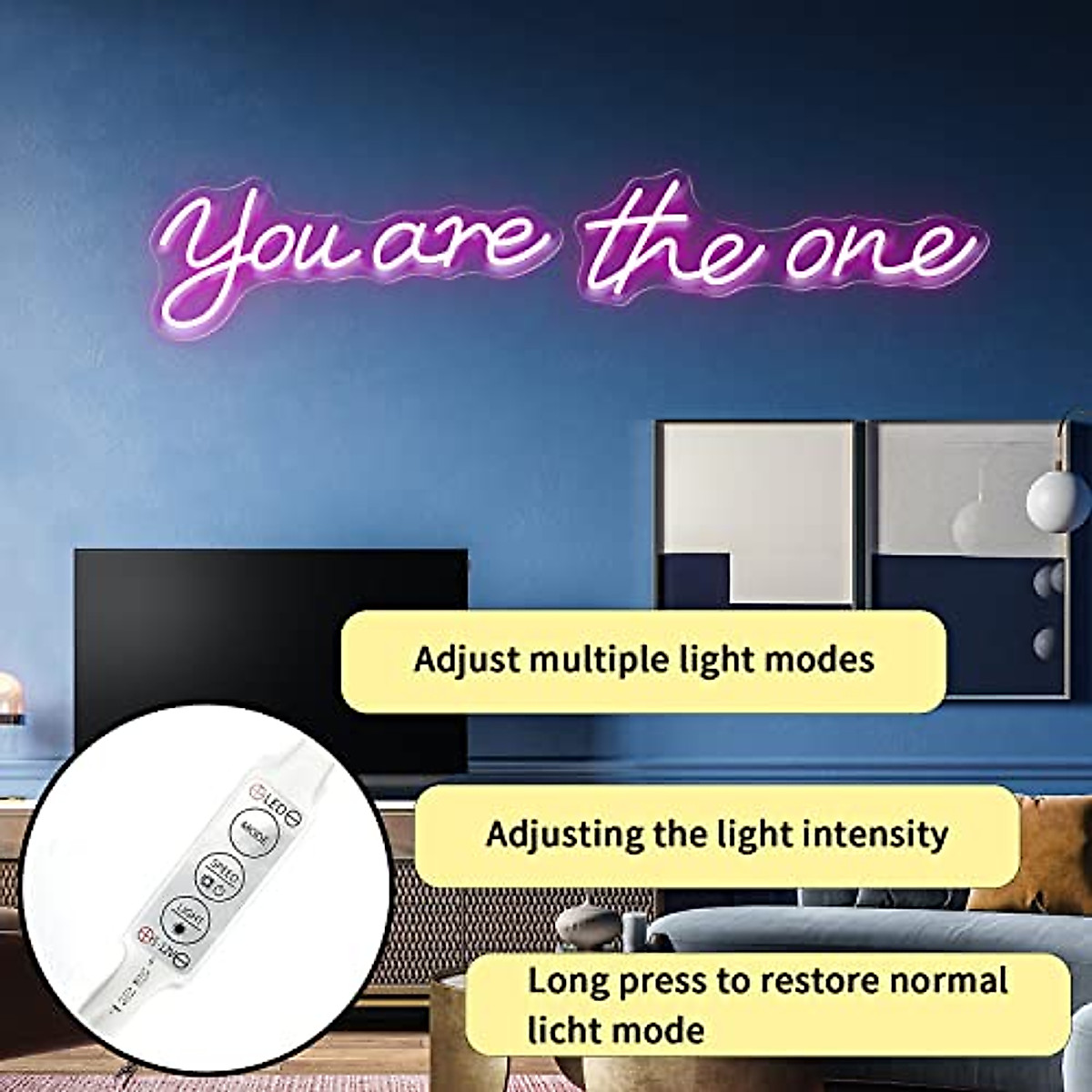 You are the one Neon Sign with Dimmable LED Neon Night Wall Decor for Bedroom Decor, Home, Bar, Party, Club, Engagement, Girls Birthday Decor Neon Wall Light Pink