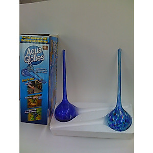 Aqua Globes AG011706 Glass Plant Watering Bulbs, 2-Pack