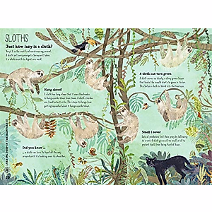 The Big Book of Beasts (The Big Book Series)