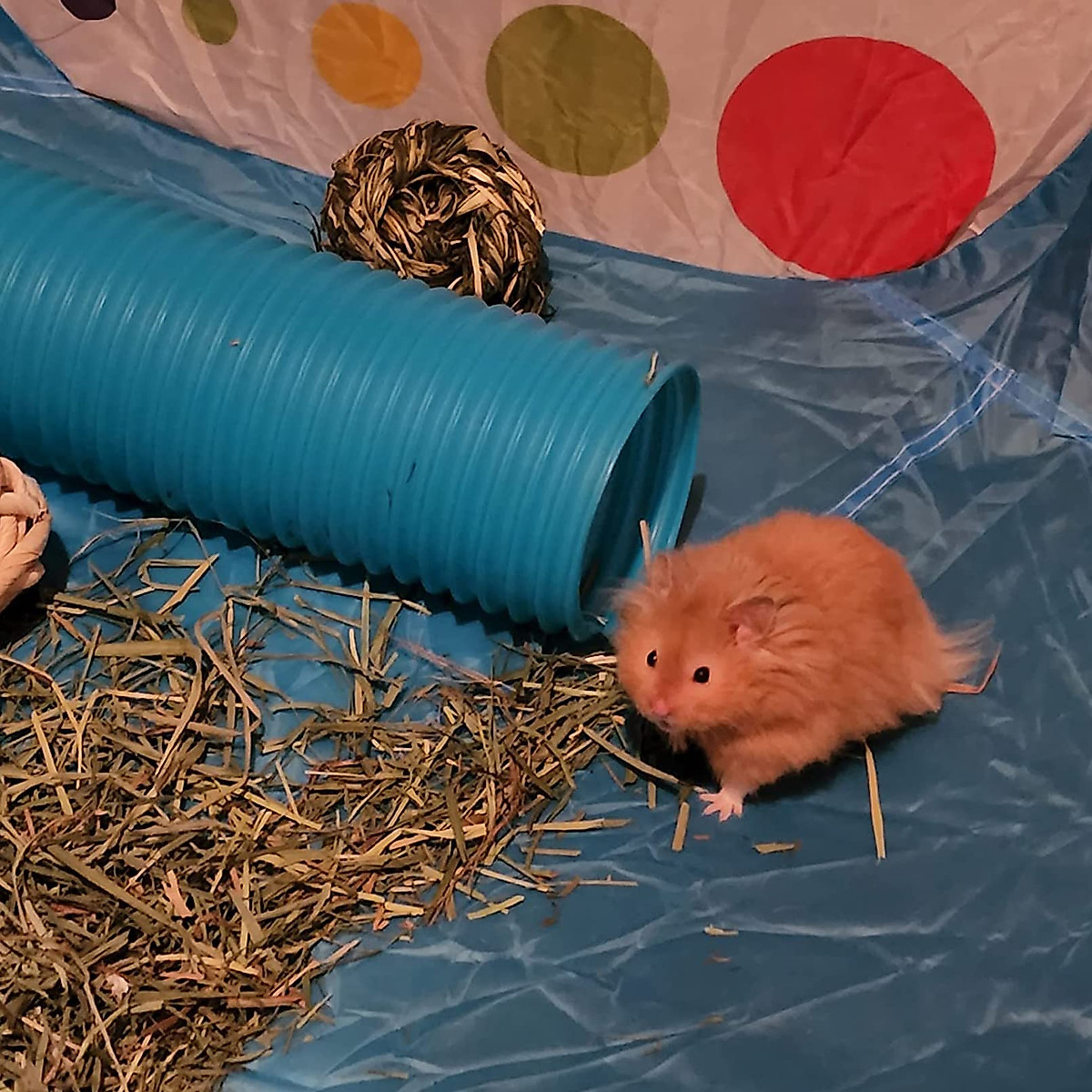 MUYG Plastic Hamster Tunnels,Small Animal Tubes,Foldable Exercising Training Ferrets Fun Tunnel Hamsters Hideout Tube 15 Pcs Pet Chew Toys for Guinea Pigs Chinchillas Rats Gerbils (Blue)