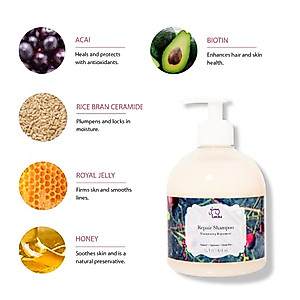 100% PURE Glossy Locks Repair Shampoo Natural Hair Care Moisturizing Detox for Dry Damaged Strands with Biotin & Argan Oil Restoring Shampoo for Women & Men - 16 Fl Oz