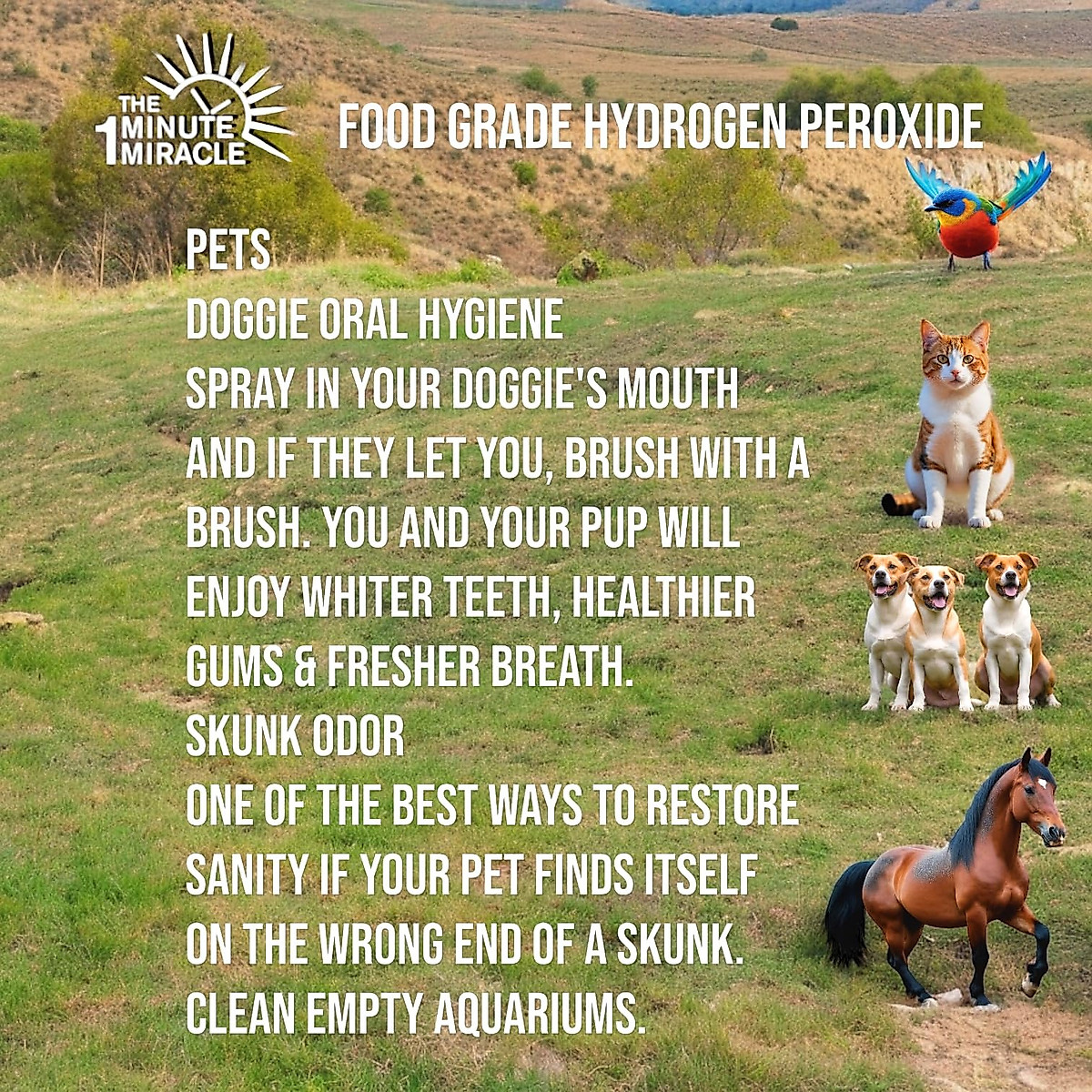 3% Food Grade Hydrogen Peroxide - 16 oz Bottle - 2 Droppers - Recommended by The One Minute Cure Book. The Choice by Professional, Alternative Medicine, and Homeopathic Communities.