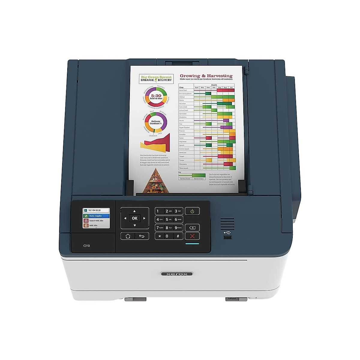 Xerox C310/DNI Wireless Color Laser Printer