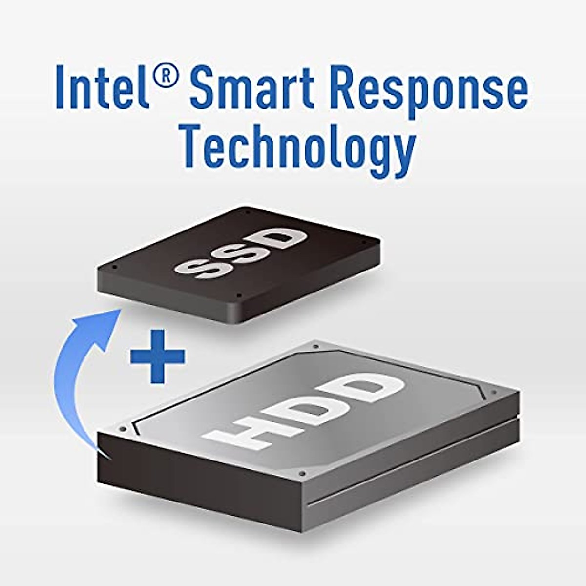 TEAMGROUP MS30 256GB with SLC Cache 3D NAND TLC M.2 2280 SATA III 6Gb/s Internal Solid State Drive SSD (Read/Write Speed up to 500/400 MB/s) Compatible with Laptop & PC Desktop TM8PS7256G0C101