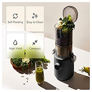 Hurom H310A Renewed Personal, Self Feeding Slow Masticating Juicer - Charcoal Gray | Easy-Clean, Max Yield, Quiet Motor - Hopper Fits Whole Produce - BPA Free