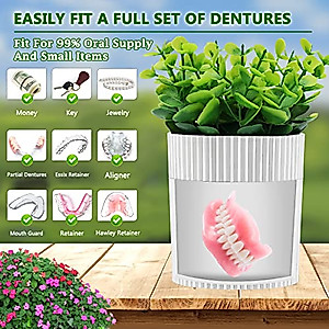 Denture Bath, Invisible Denture Case Designed As Artificial Eucalyptus Potted Plants, Denture Cup With Strainer For Retainer, Mouth Guard & Dentures, Perfect For Home Decoration…
