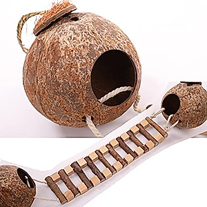 Coconut Bird Nest with Ladder for Parrots Parakeet Conures Lovebird Cockatiel Finch Canary, Small Animals Hideaway Hut, Coconut Shell Bird Cage Toy, Natural Coconut Squirrel House Hanging Loop