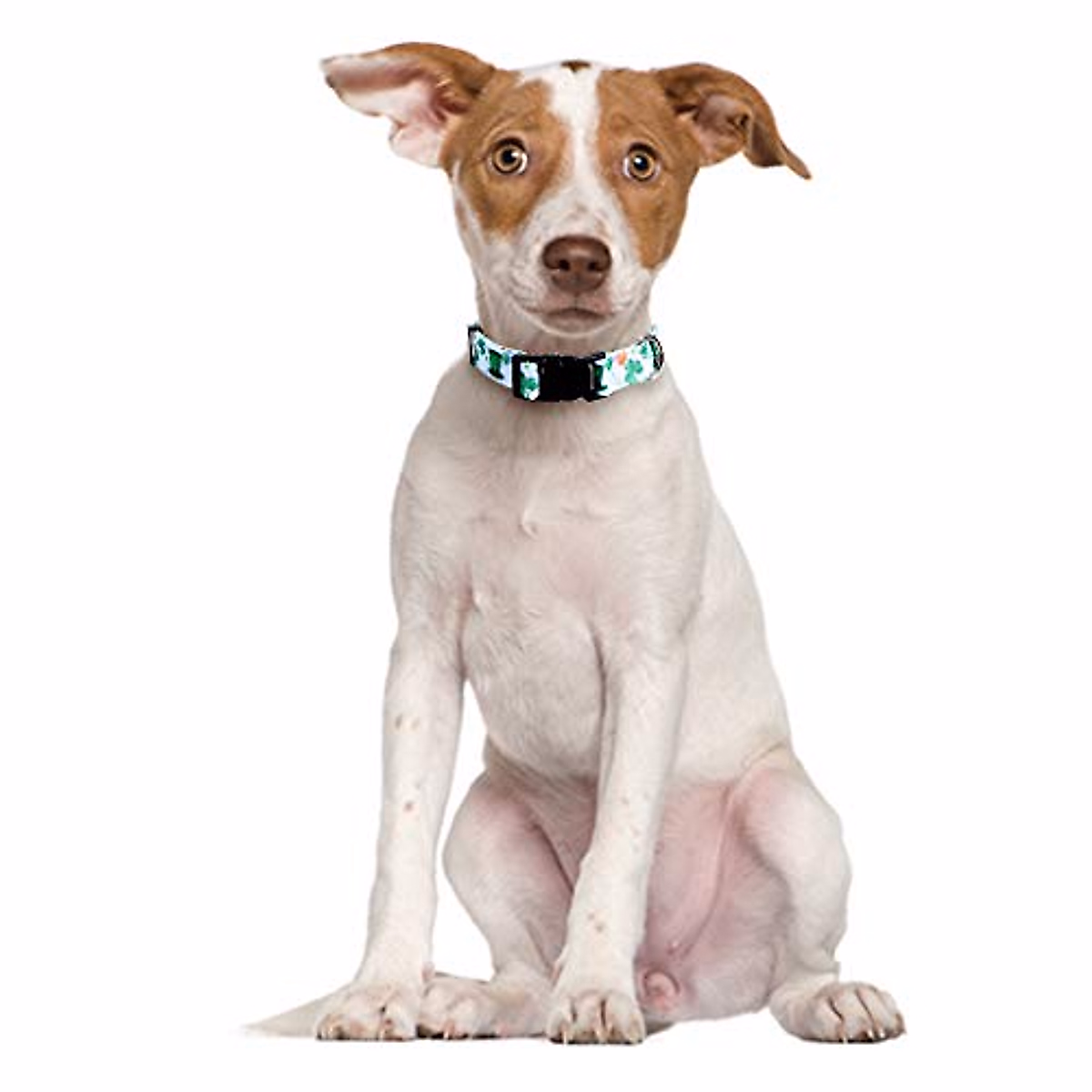 2 Pack St.Patrick's Day Dog Collar Adjustable Four Leaf Clover Large