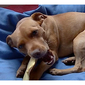 123 Treats Natural Rawhide Chips Smoked Flavor – (5 Pounds) Natural Beef Rawhide Chips for Dogs, Long-Lasting Chews for Dogs, Helps to Promote Dental Health, Rawhide Chews for Medium to Large Dogs