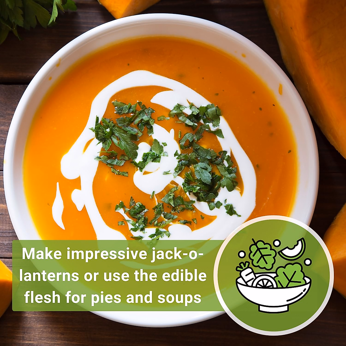 Sow Right Seeds - Big Max Pumpkin Seeds for Planting - Non-GMO Heirloom Packet with Instructions to Plant a Home Vegetable Garden - Decorative Autumn Variety for Carving - Giant Fast Growing (1)