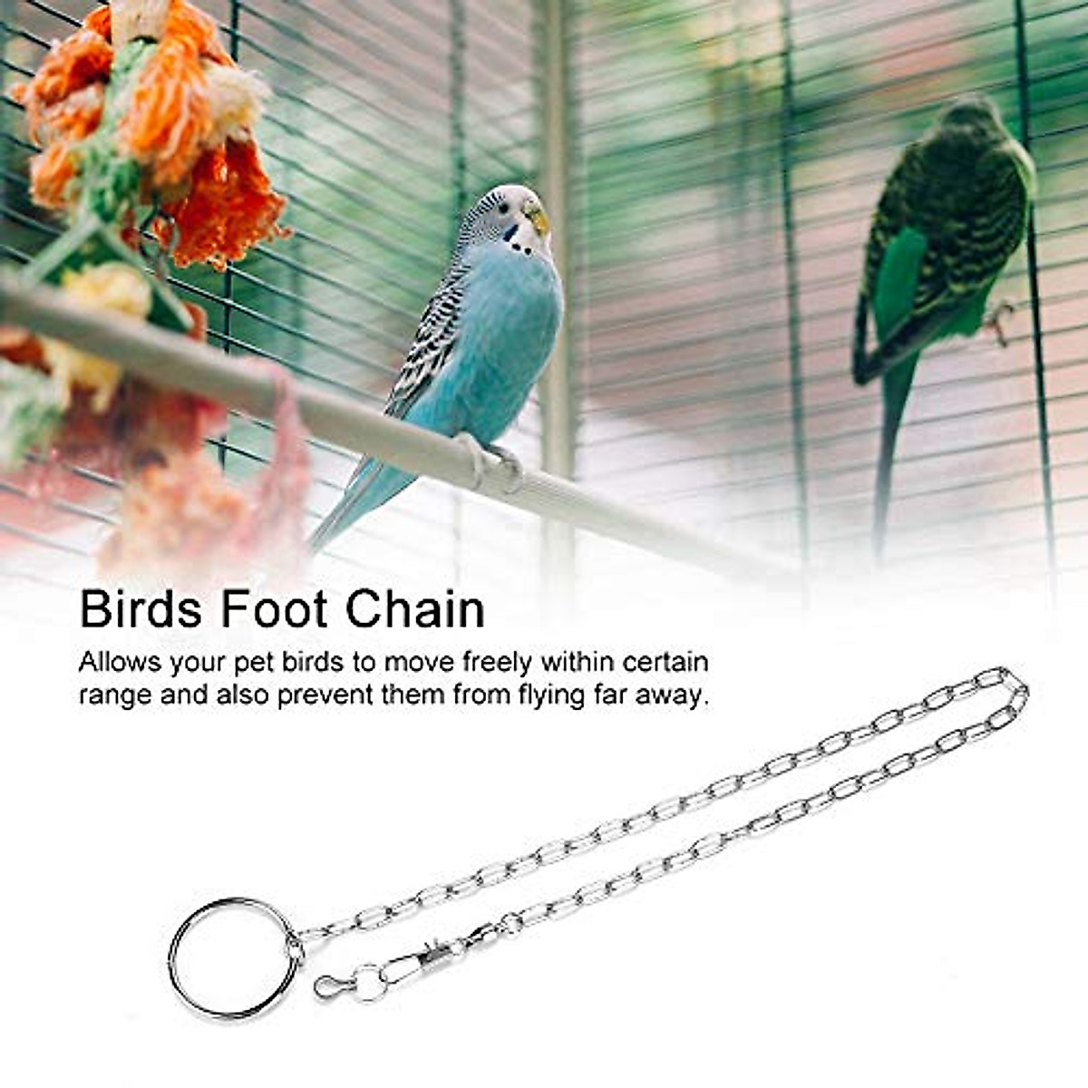 ViaGasaFamido Bird Leash, Stainless Steel Bird Foot Chain with Ring Parrot Ankle Foot Ring Anti-bite Outdoor Flying Training Rope(Grey Parrot)