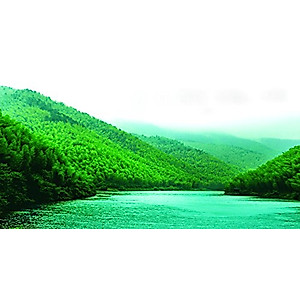 TOPSEAT Native Impression Elongated Toilet Seat w/Brushed Nickel Hinges, Natural Bamboo