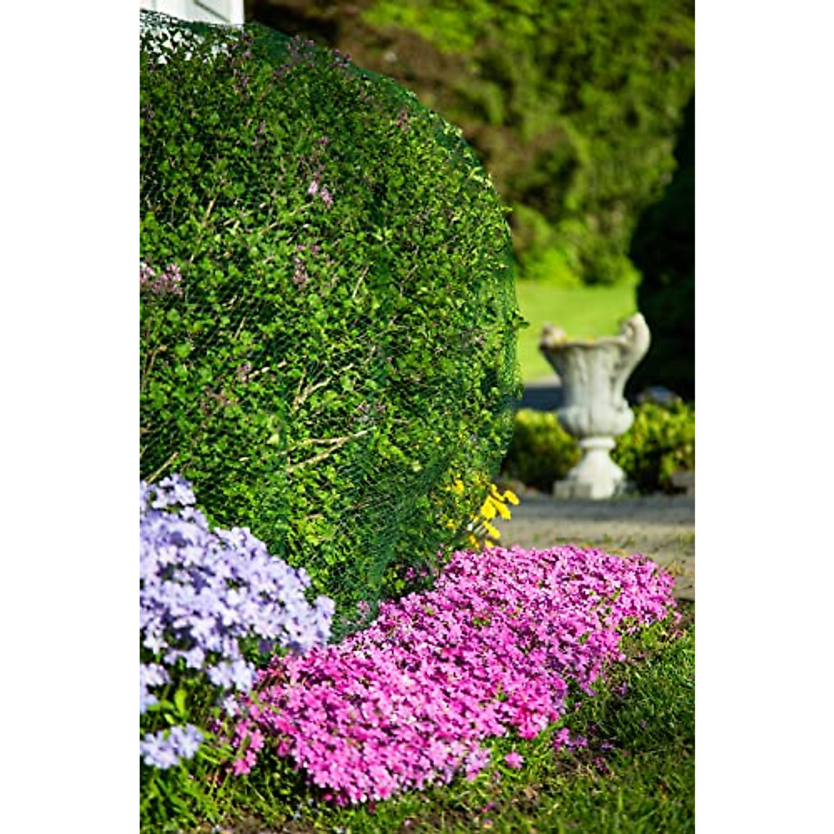 Deer-Terrent Plant Netting Cover- Size 6' X 6' for Shrubs Up to 2.5-3' Tall (6ft x 6ft). Repels Deer from Your Plants. Deer Protection for Plants