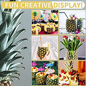 Pineapple Corer, [Upgraded, Reinforced, Thicker Blade] Newness Premium Pineapple Corer Remover (Black)