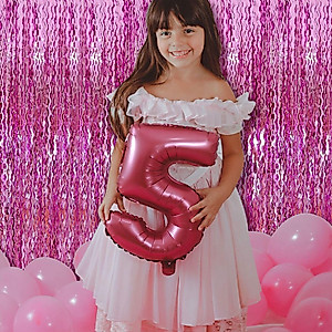 Pink Fringe Backdrop Streamers Party Decorations, Pink Wall Decor, Pink Birthday Decorations for Women, Pink Halloween Decor, Bachelorette Party Decorations, Baby Shower Decorations for Girl