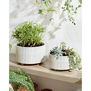 LE TAUCI Succulent Pots, 6.5+8 Inch Ceramic Indoor Plant Pot with Drainage Hole, Modern Round Decorative Flower Pot, Gifts for Mom, Set of 2, Matte White