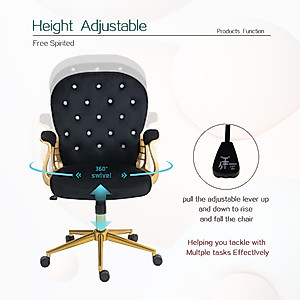cayglow Velvet Home Office Desk Chair Comfy with Gold Base, Comfortable Swivel Makeup Chairs for Vanity with Back and Wheels, Button Tufted Armchair Rolling Chair for Girls Women Study Bedroom, Black