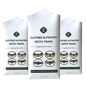 Moth Traps with Two pheromones for All Clothes Moths Kitchen Moths and Pantry Moths 6 Traps