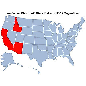 Brighter Blooms Barbados Cherry Tree, 3 Gallon