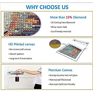 Diamond Painting Kits for Adults, Large Size 5D DIY Round Crystal Rhinestone Embroidery Kits Diamond Art Full Drill Diamond Painting Magic Badge Perfect for Home Wall Deco (Diamond Dotz 14x18inch)