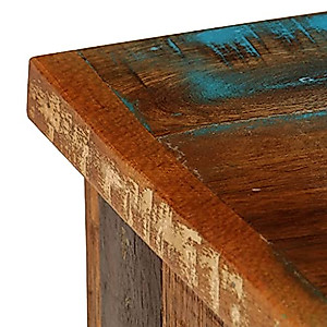 vidaXL TV Cabinet TV Stand Couch Table Side Table Sideboard Lowboard Livingroom Furniture Durable Easy to Move Around 47.2" Solid Reclaimed Wood